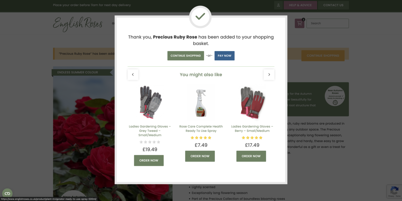How to Order a Rose - English Roses