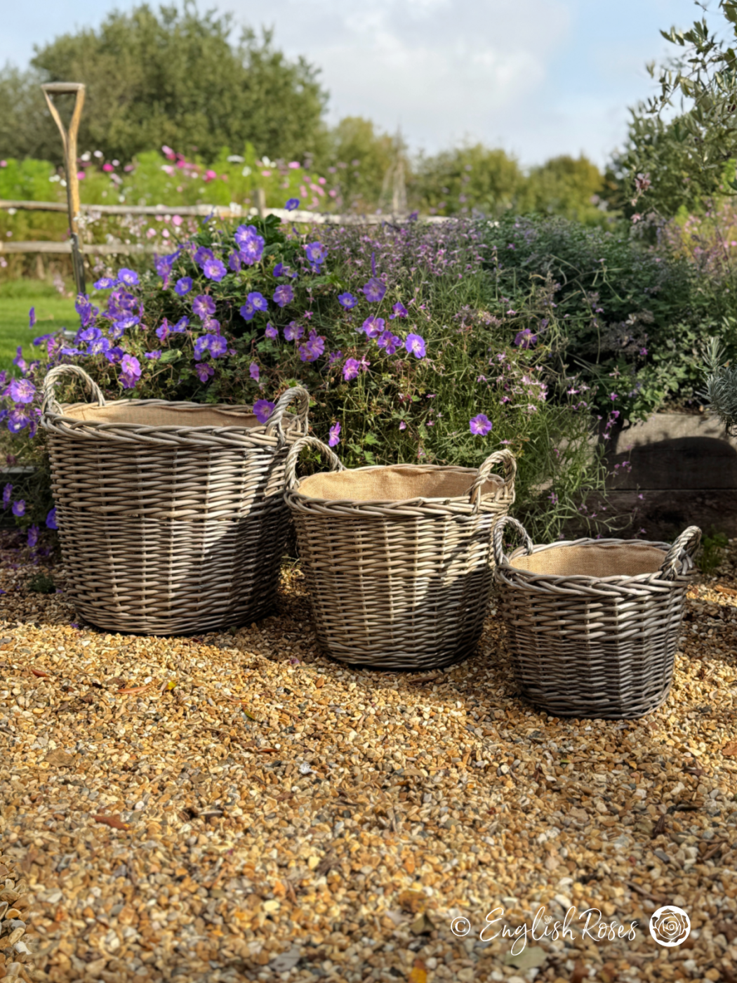 Planters & Containers - Garden Pots For Roses - English Roses