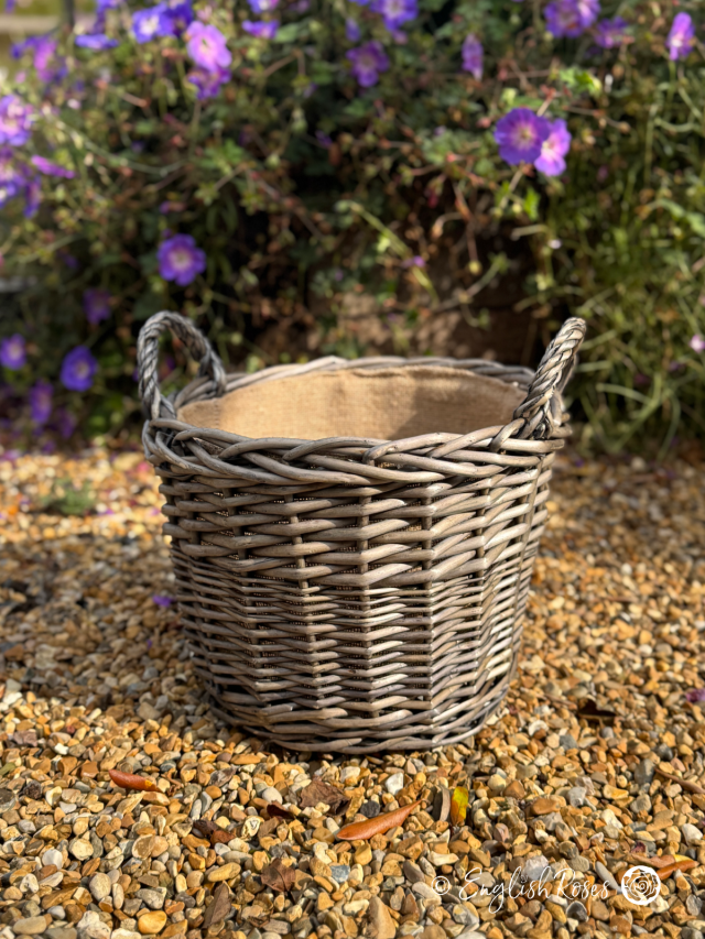 Large Willow Basket - Rose Planters & Containers - English Roses